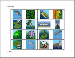 Bingo: Water Plants and Animals (color) – Abcteach