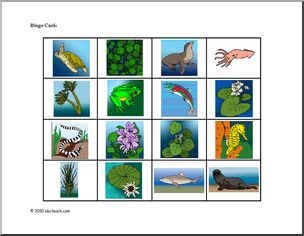 Bingo: Water Plants and Animals (color) | Abcteach