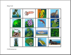 Bingo: Water Plants and Animals (color) | Abcteach