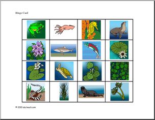 Bingo: Water Plants and Animals (color) | Abcteach